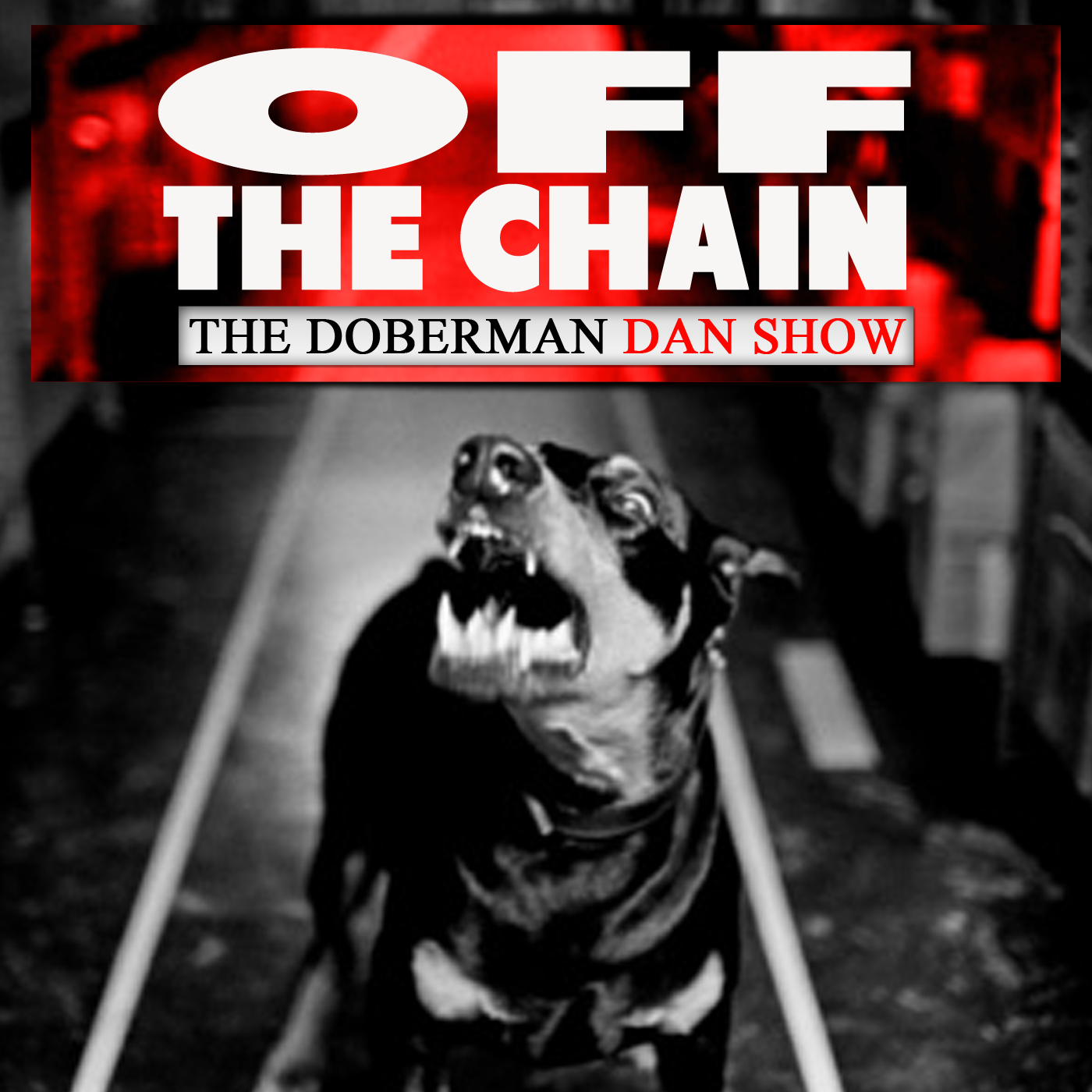The fountain of youth... in Pennsylvania? - Doberman Dan